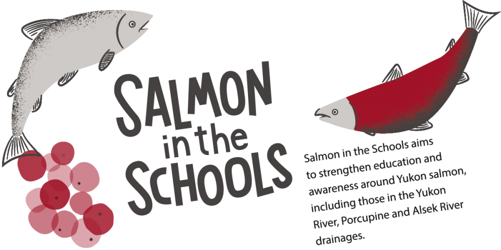 Salmon in the Schools