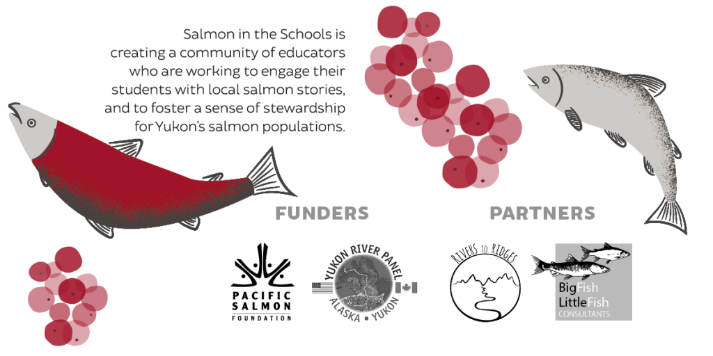 Salmon in the Schools